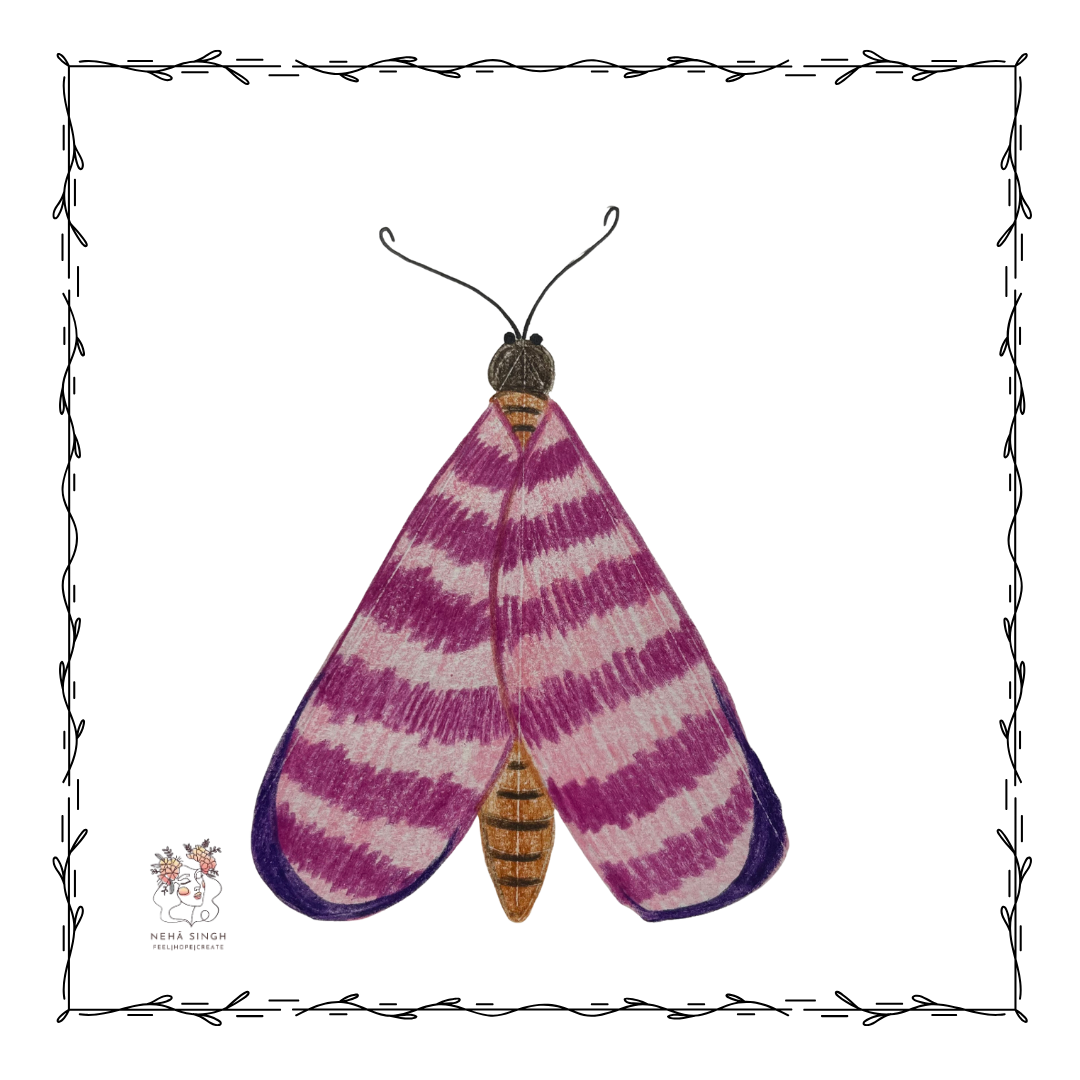 How to Draw a Moth in Ink and Colour : Easy Step-by-Step Guide