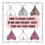How to Draw a Moth in Ink and Colour : Easy Step-by-Step Guide