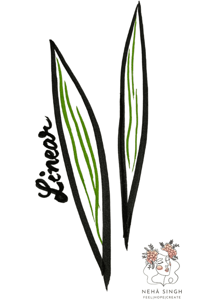 15 Easy Leaf Drawings ( With Shapes)